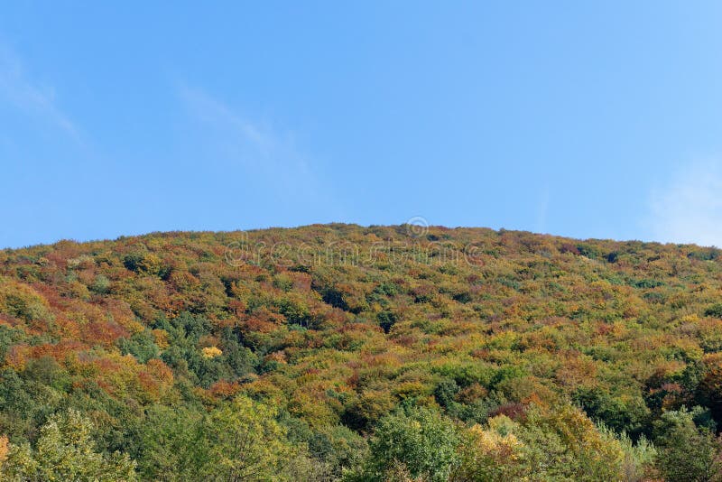 Forest hill in autumn stock image. Image of summit, foliage - 183902067
