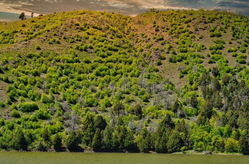 Hill Covered with Green Trees Next To a River Stock Photo - Image of ...