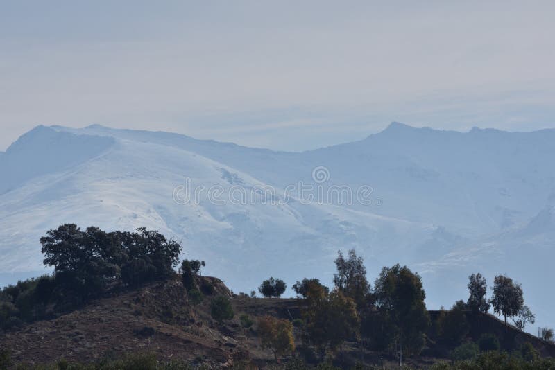 Hill with Different Types of Trees and Sierra Nevada with Snow in the ...