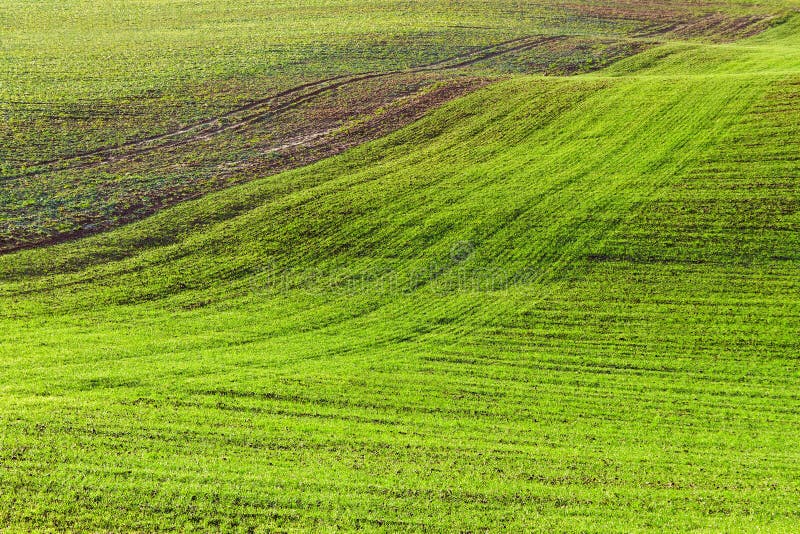 Hill field. stock photo. Image of meadow, countryside - 28074438