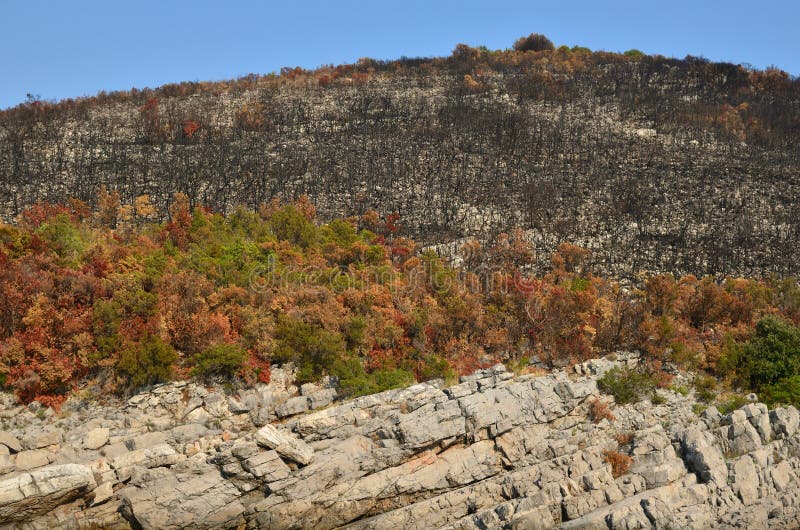 Hill after fire stock photo. Image of danger, hill, dramatic - 109210980