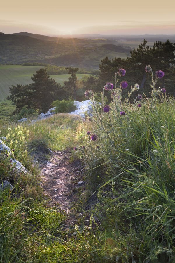 Hill with footpath stock photo. Image of land, peaceful - 22089502