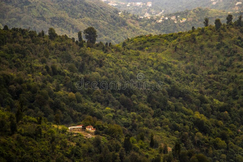 Hill and forest stock image. Image of beauty, nice, hill - 140367277