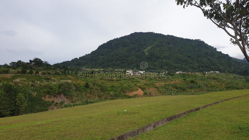 Hill java indonesia stock photo. Image of plain, indonesia - 262363406