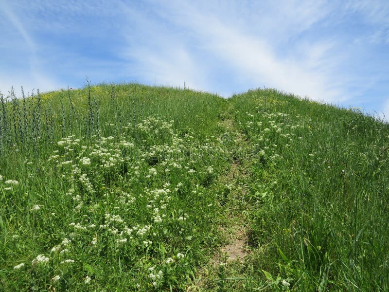 Hill in spring meadow stock photo. Image of blurred - 146920726