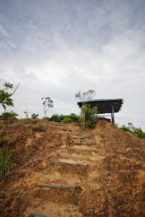On the Hill Over the Jungle Stock Image - Image of nature, freedom ...