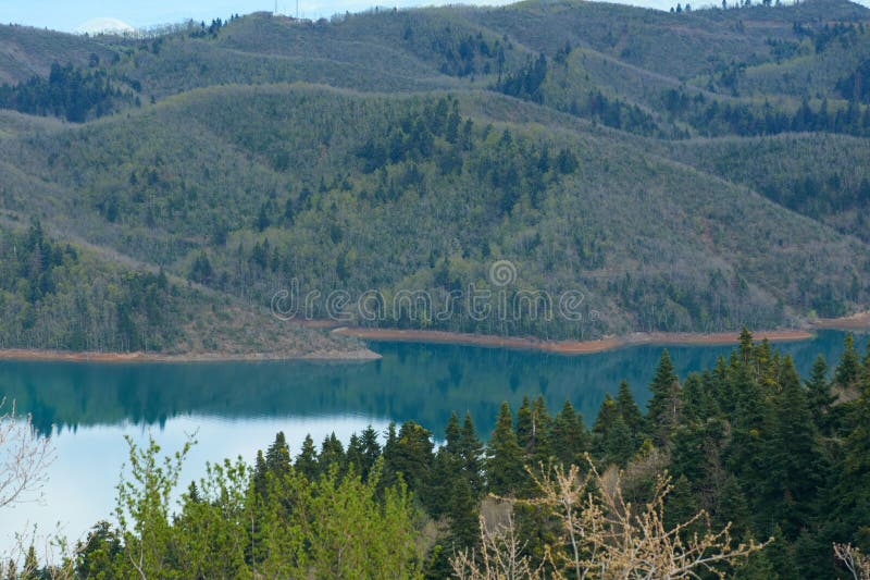 A Hill Overlooking a Blue Ocean, with Trees Providing a Lush Backdrop ...