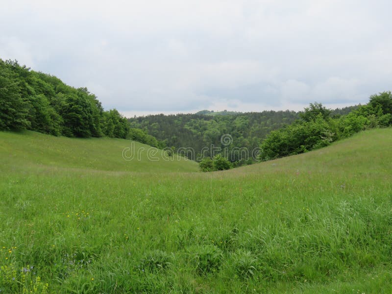 Hill Pastures with Light Slope Elevations Stock Photo - Image of light ...