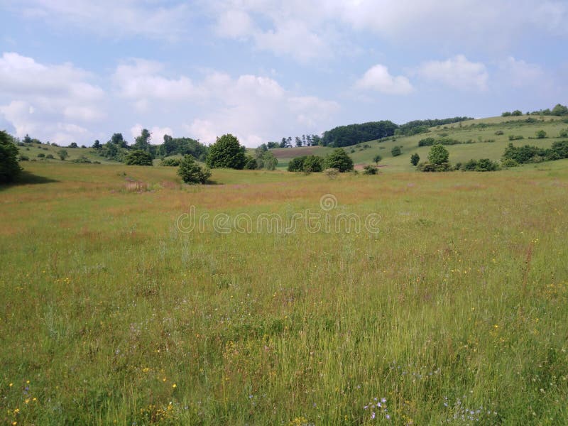 Hill Pastures with Light Slope Elevations Stock Image - Image of easy ...
