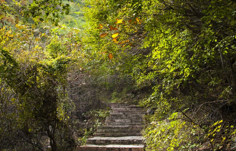 Hill path stock photo. Image of forest, gold, trail, landscape - 34592566