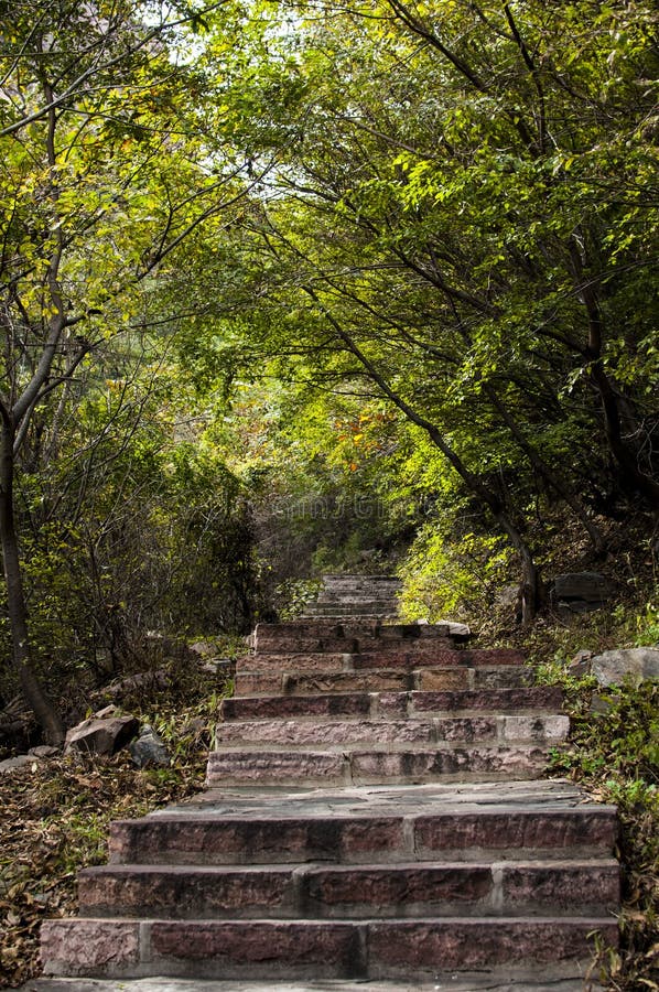 Hill path stock image. Image of park, tour, season, fall - 34592647