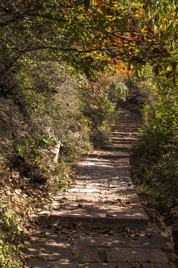 Hill path stock image. Image of park, tour, season, fall - 34592647