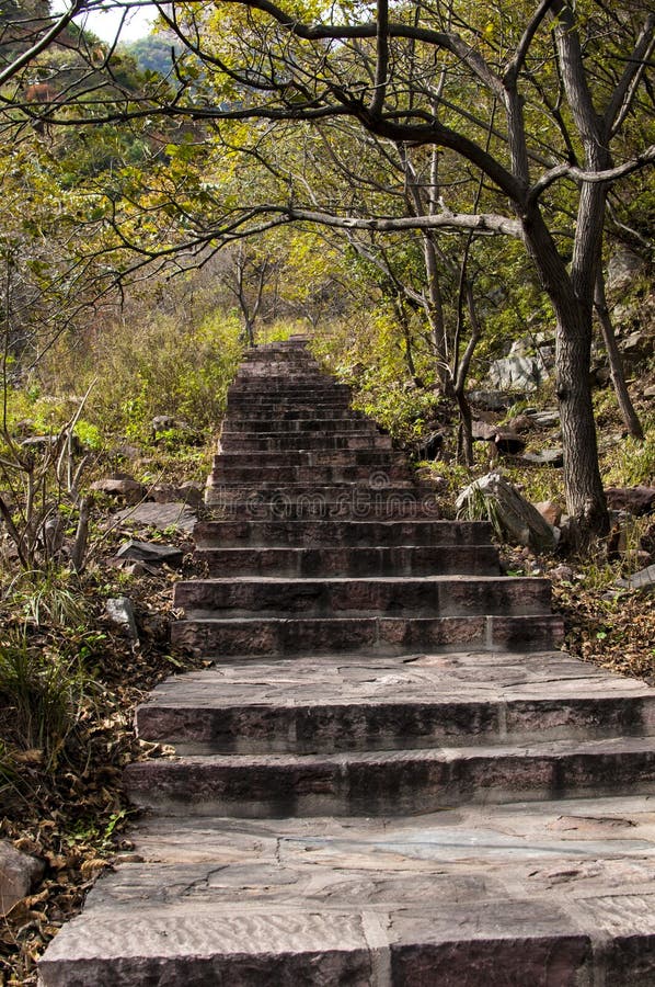 Hill path stock image. Image of forest, stone, tree, rock - 34896955