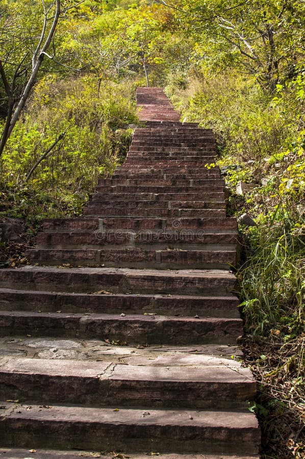 Hill path stock photo. Image of forest, gold, trail, landscape - 34592566