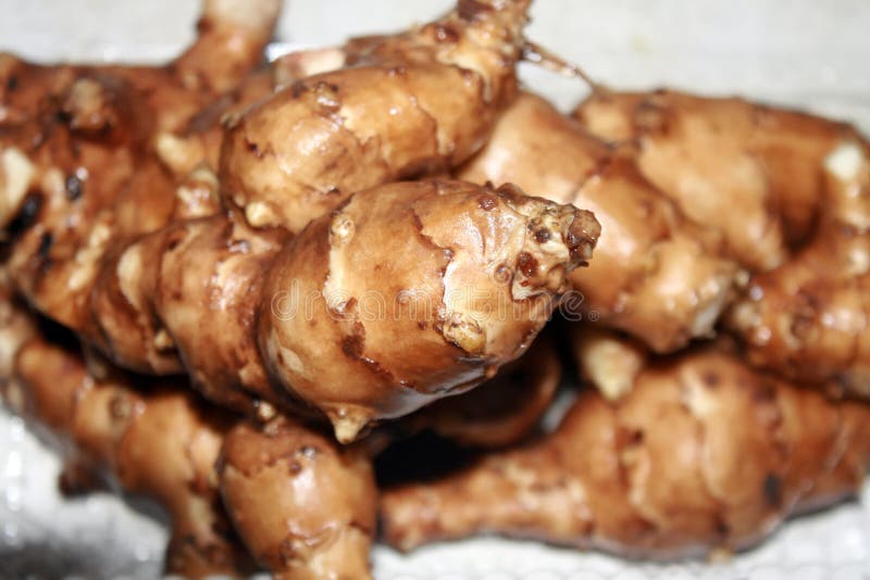 Hill from the Roots of Jerusalem Artichoke. Stock Image - Image of ...