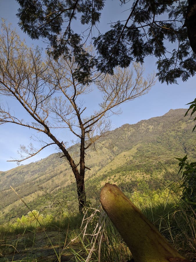 Hill side plateau view stock image. Image of mountain - 247585113