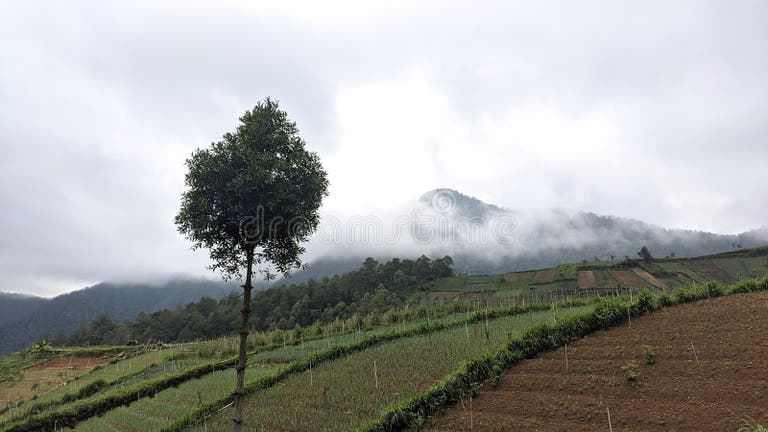 Hill side view when hiking stock image. Image of crop - 240648807