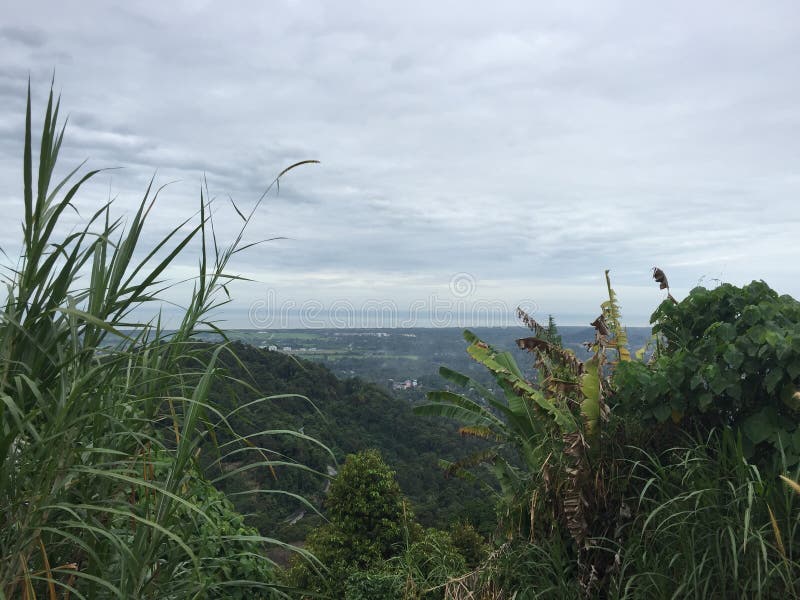 Hill Side View in Penang, Malaysia Stock Photo - Image of busy, sign ...