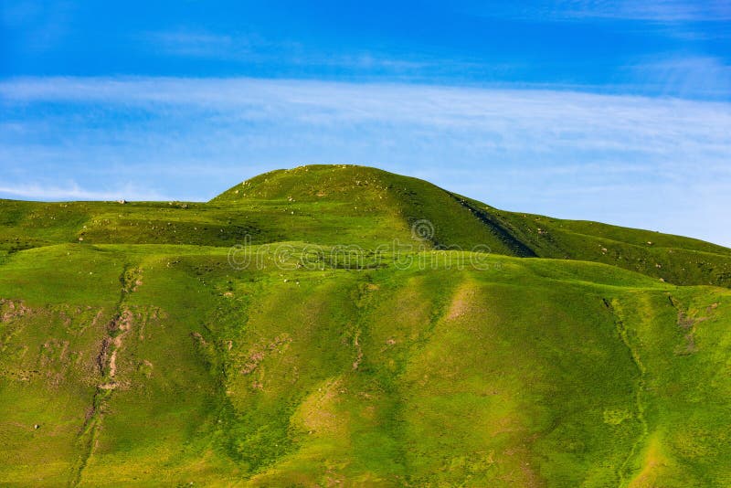 Hill slope stock image. Image of backgrounds, growth - 70934643