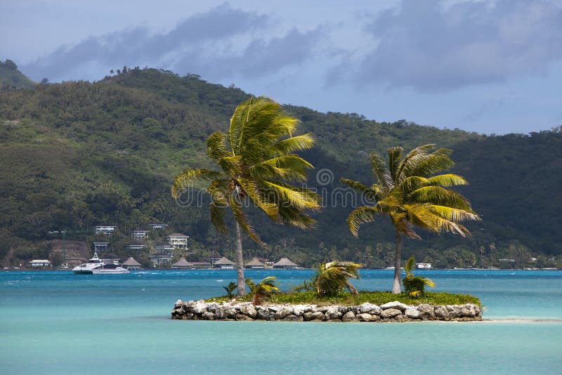 Hill Slope and a Small Island with Palm Trees in the Sea. Polynesia ...