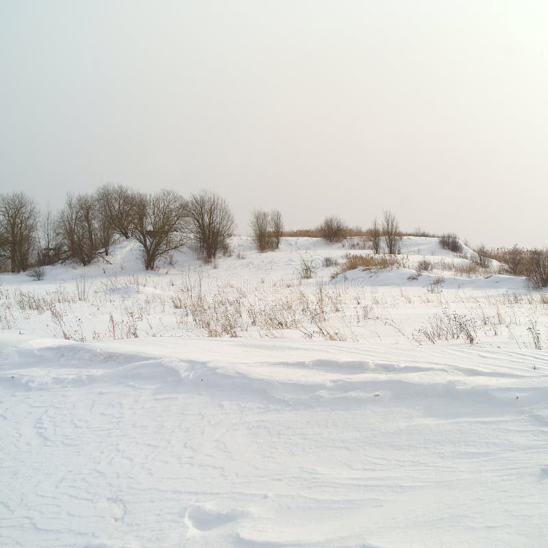 Hill with Sparse Vegetation Stock Image - Image of steppe, weather ...