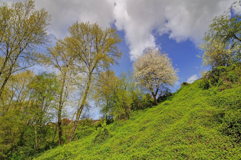 Hill at springtime stock photo. Image of colour, grass - 70003200
