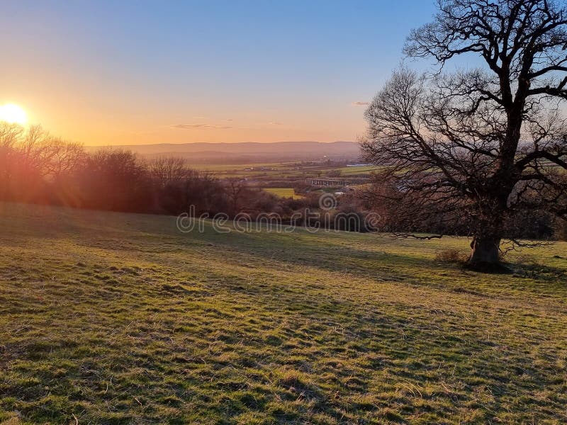 On the hill sunset sky stock photo. Image of tree, field - 264905786
