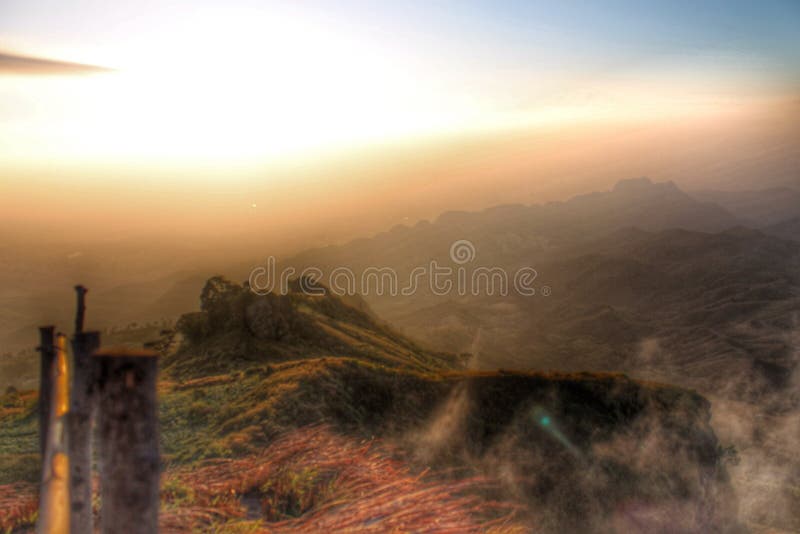 Hill stock image. Image of grass, natural, tree, sunset - 42854601