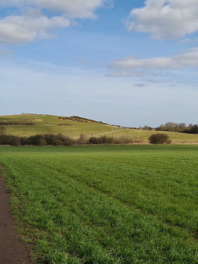 Hill Top Tumble stock photo. Image of sunlight, lawn - 213912804