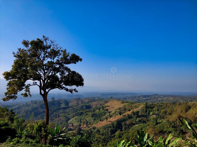 Hill View Scenery of Bandarban Thanchi Upazila Stock Image - Image of ...