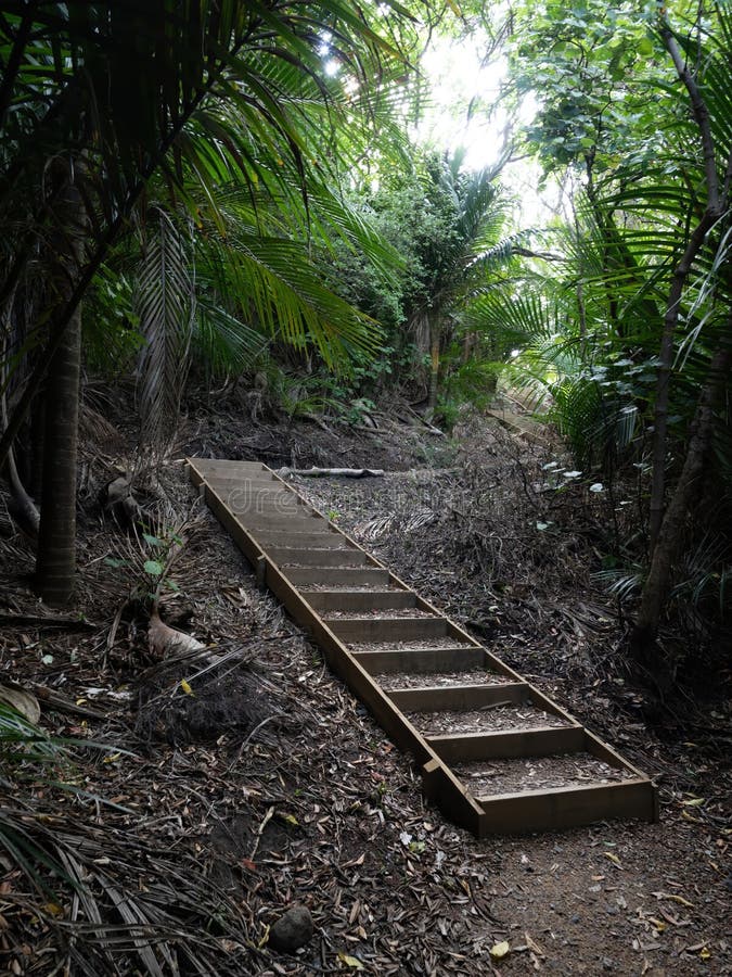 Hillary hiking track stock photo. Image of landscape - 187847478
