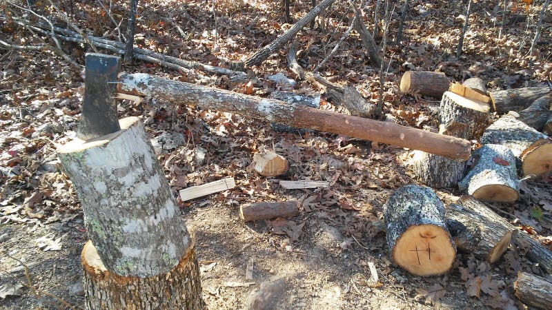Hillbilly axe stock image. Image of hillbilly, homemade - 80981031