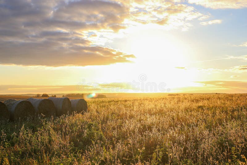 Hills of Agricultural Fields at Sunrise or Sunset in Autumn Stock Photo ...