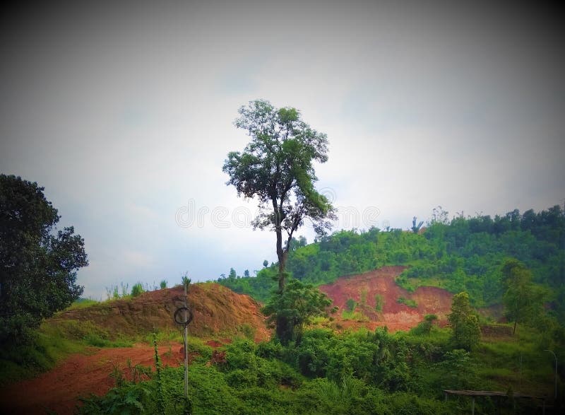 Hills Ares tree stock image. Image of ares, hills, blue - 189554323