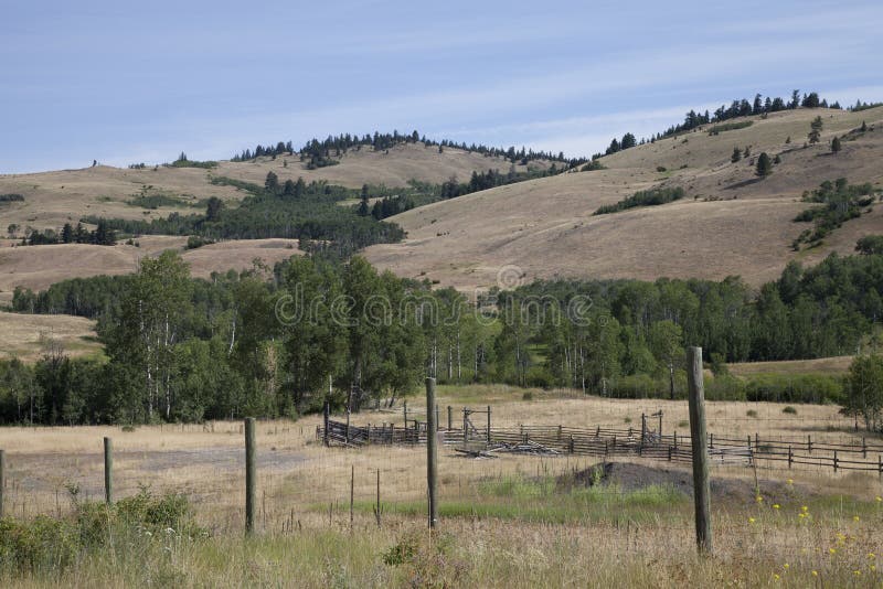 Hills of the Canadian Prairies Stock Photo - Image of agriculture ...