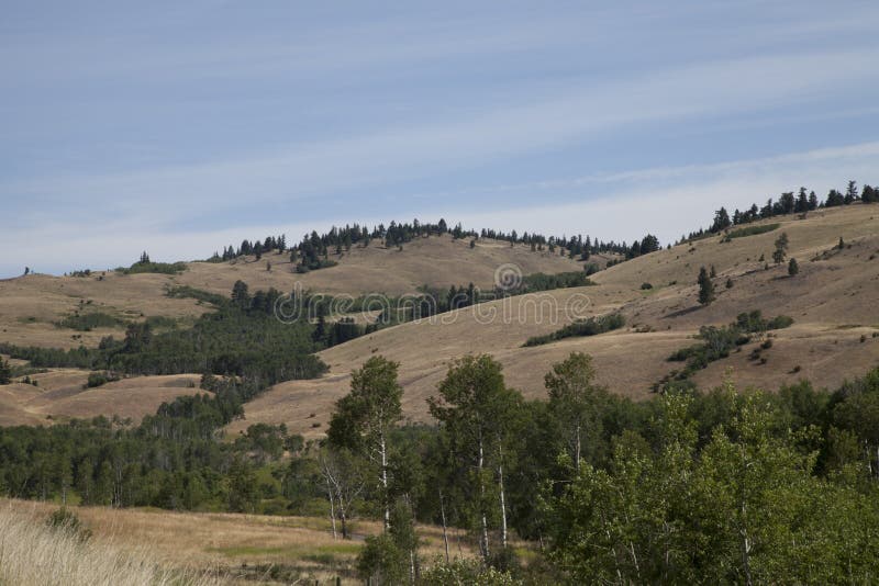 Hills of the Canadian Prairies Stock Image - Image of nature ...