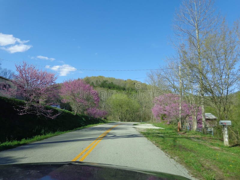 Spring in kentucky stock photo. Image of clear, spring - 110007226