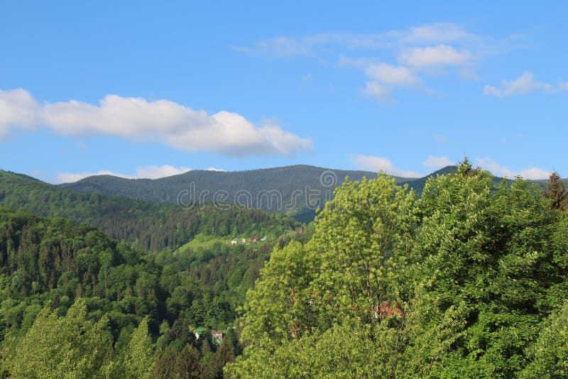 Hills Covered with Spring Greenery. Carpathian. Ukraine Stock Photo ...