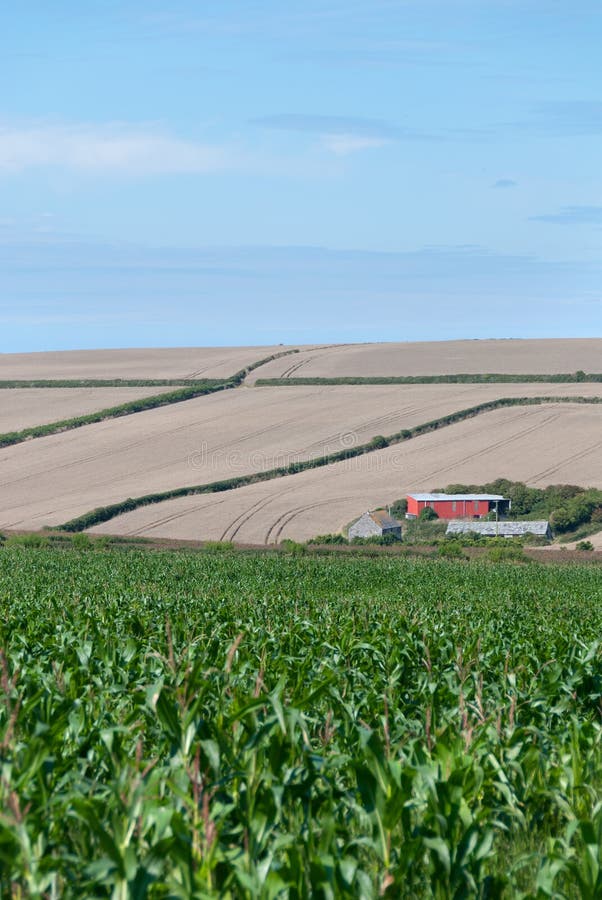 Hills with Cultivated Fields and Hay Bales in Cornwall Stock Image ...