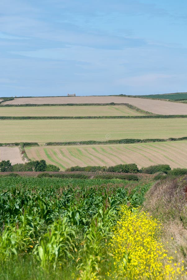 Hills with Cultivated Fields and Hay Bales in Cornwall Stock Image ...