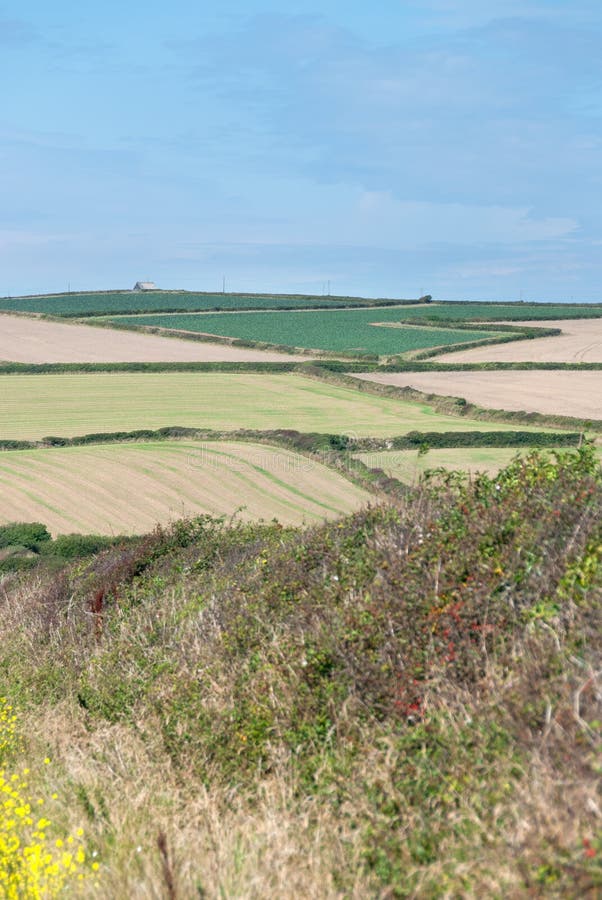 Hills with Cultivated Fields and Hay Bales in Cornwall Stock Photo ...