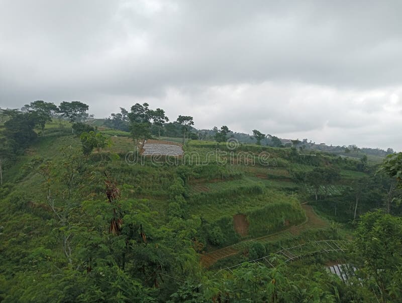 Hills at the Foot of Mount Merapi Merbabu Stock Photo - Image of hills ...