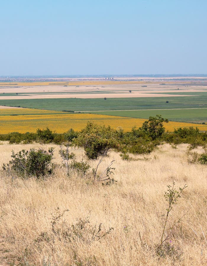 Hills at Ghioroc Arad Romania Stock Photo - Image of insect, color ...