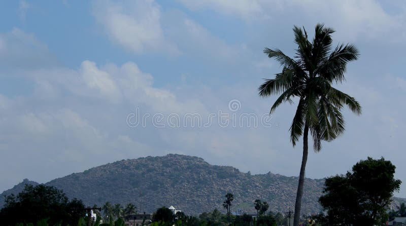 Hills landscape stock image. Image of coconut, trees - 64058789