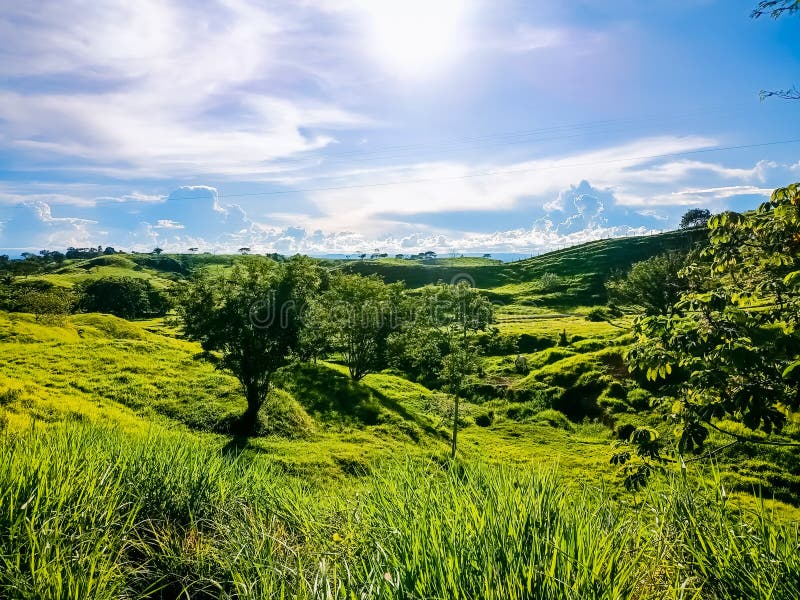Hills in the Plains with Some Trees in a Sunny Day Stock Photo - Image ...