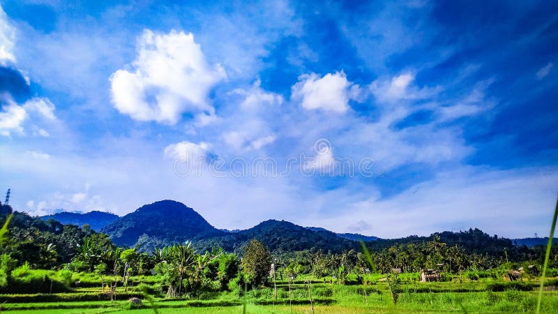 Hills and rice fields view stock photo. Image of meadow - 223998286