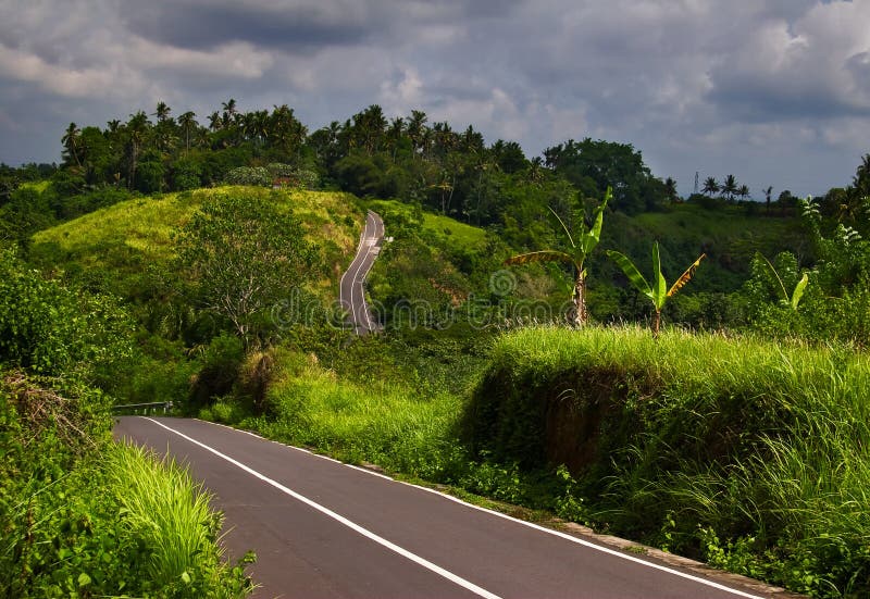 Hills and Roads in Center of Bali Stock Photo - Image of palm, forest ...