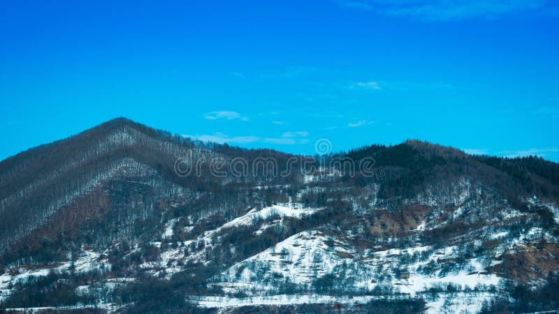 Hills with snow and trees. stock image. Image of trees - 84348563