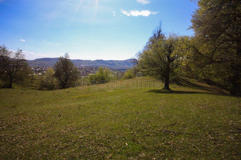 Hills in the spring stock image. Image of banner, colorful - 90299069