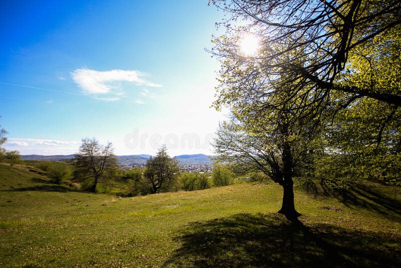 Hills in the spring stock photo. Image of field, grass - 90299140